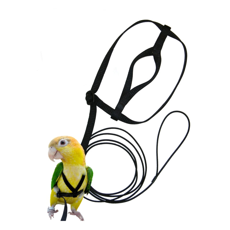 Aviator Bird Harness – Cascadia Natural Pet Supply